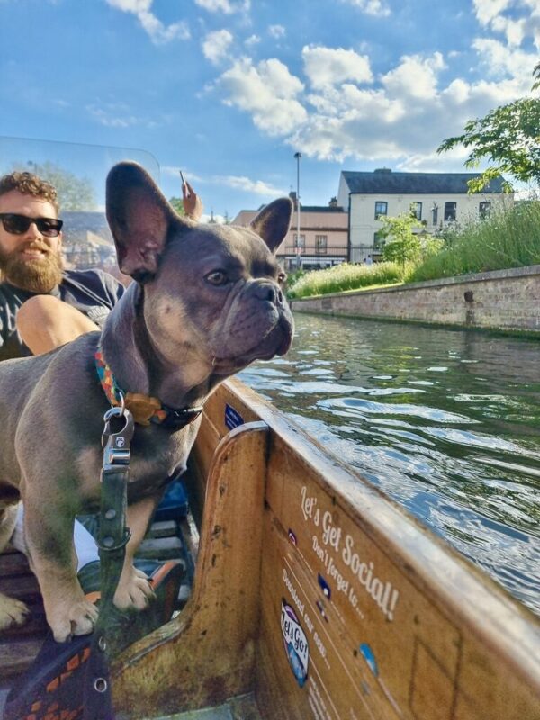 Dog friendly punting tours in Cambridge - Let's Go Punting