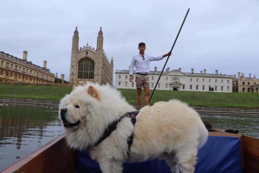 Dog friendly punting tours in Cambridge - Let's Go Punting