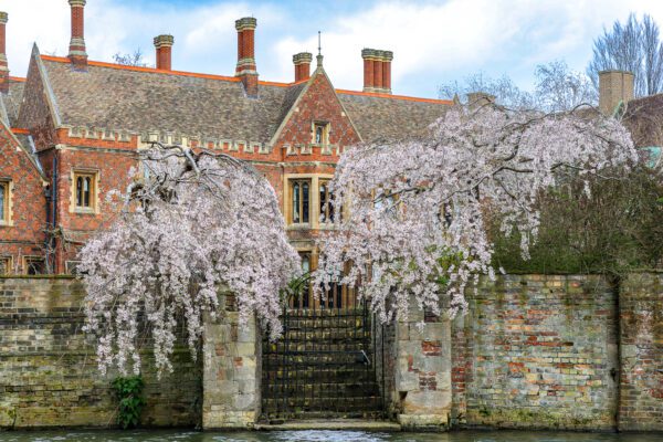 Cambridge Foodie Recommendations Part 6: Fancetts - Let's Go Punting